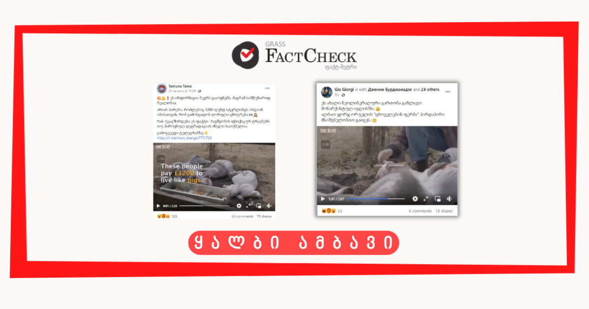 Disinformation: A “pig spa” was opened in the UK and British people are paying GPB 1,200 as an ...