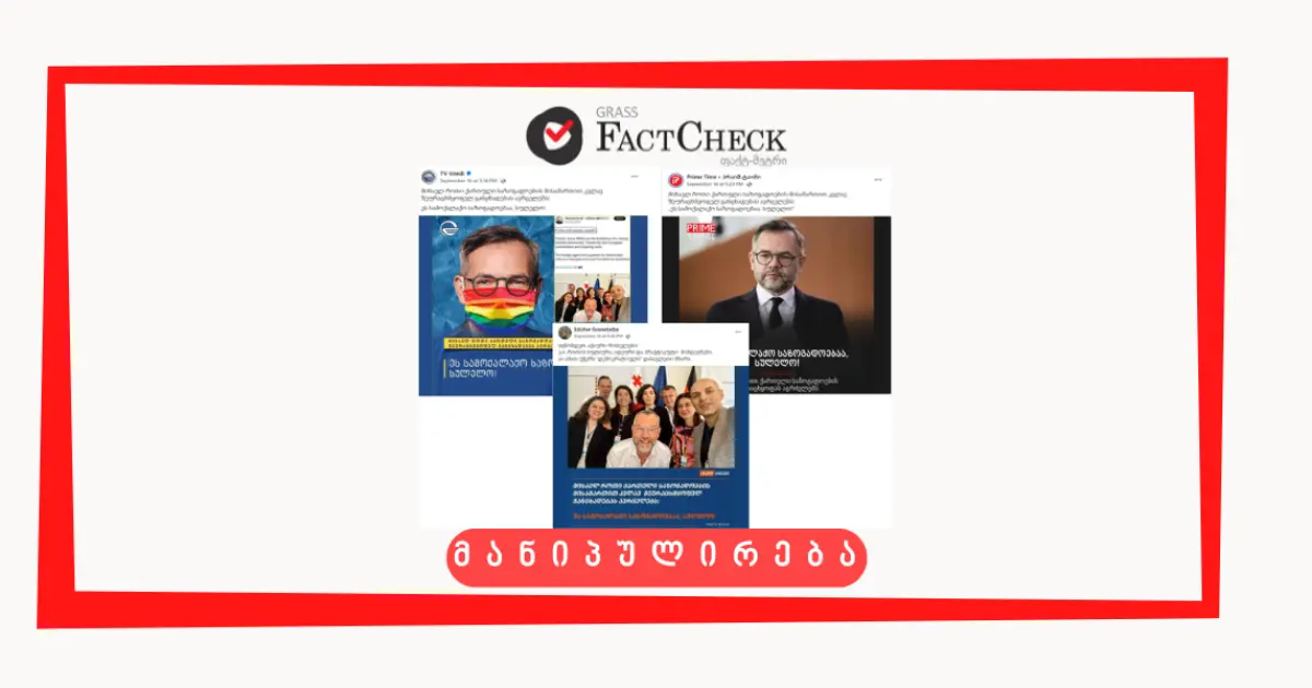 მანიპულაცია, თითქოს მიხაელ როთმა ქართული საზოგადოება სულელად მოიხსენია | Factcheck.ge